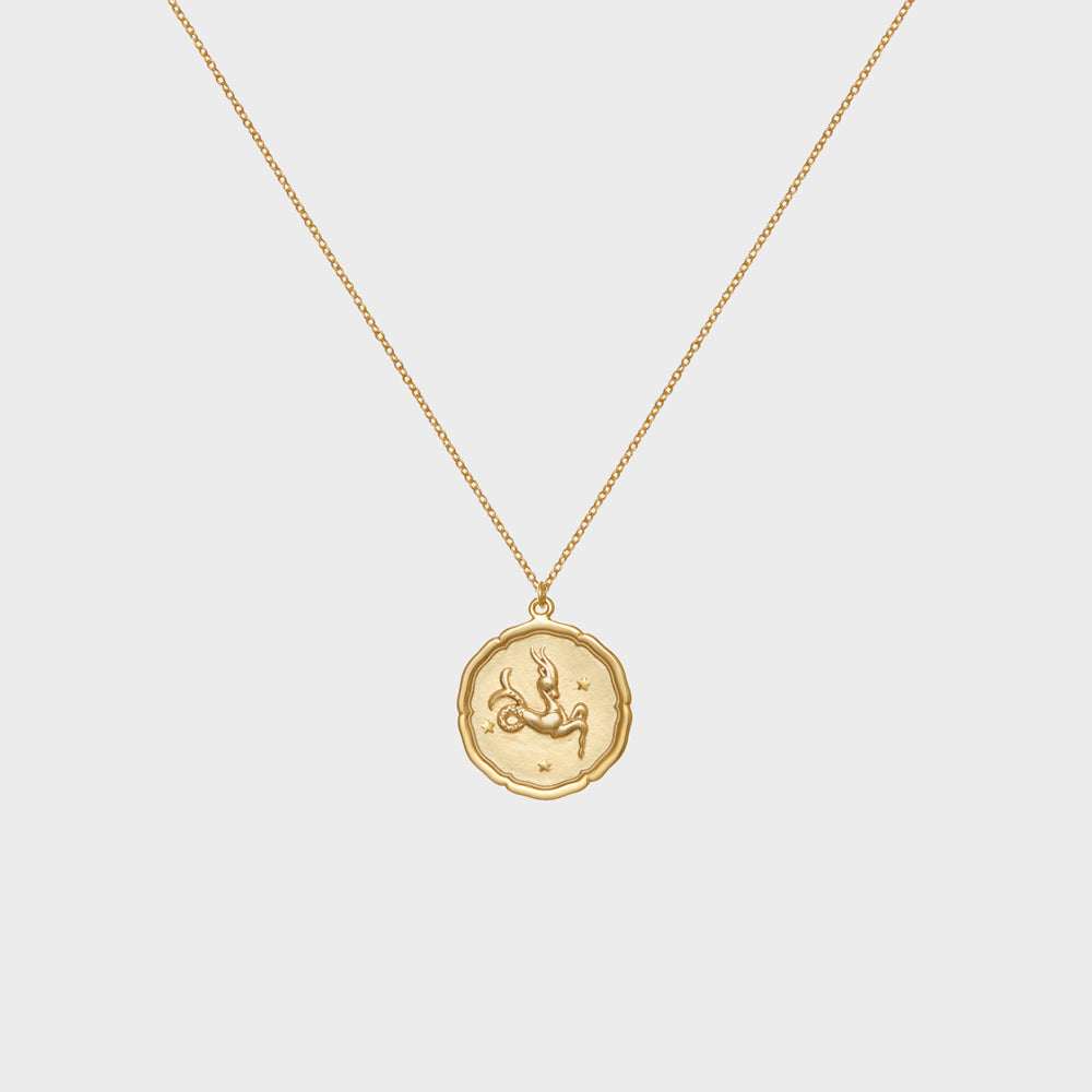 Capricorn Astrology Coin Necklace – TOA